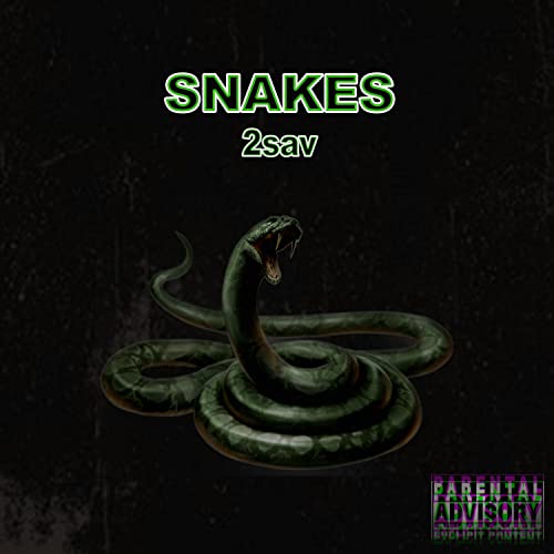 Amazon.co.jp: Snakes : 2sav: Digital Music