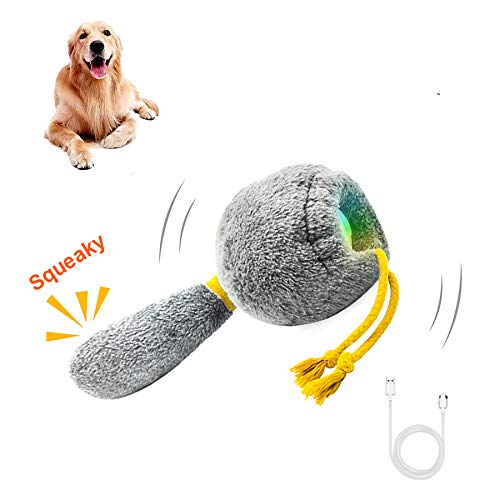10 Best Motion Activated Dog Toys (2022 Update) - Oodle Life