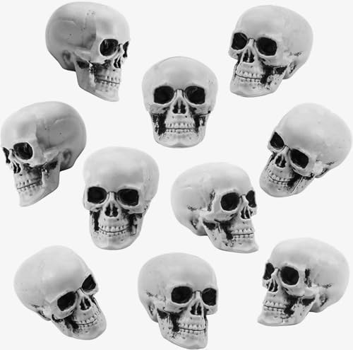 Amazon.com: Halloween Realistic Fake Simulation Human Skull- Mini ...