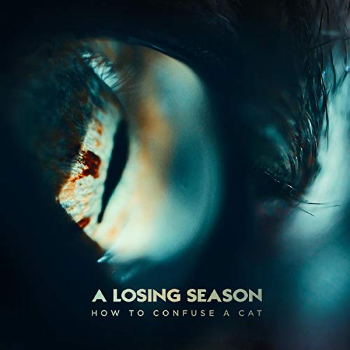 Play How to Confuse a Cat by A losing season on Amazon Music
