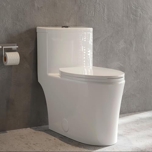 Elongated One-Piece Toilet, Full Skirt & Sleek Design, Dual Powerful ...
