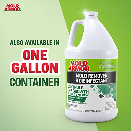 The 19 Best Mold Control Spray of 2025 [Verified] - Cherry Picks