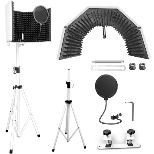 The 6 Best Microphone Isolation Shields - Midnight Magic Sounds