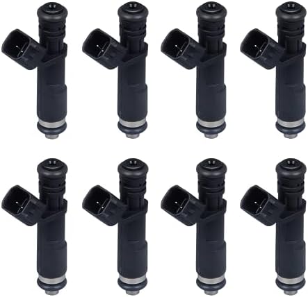 Amazon.com: AdvanEX Fuel Injector 2 Holes Compatible with Ford ...
