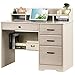 Amazon.com: Catrimown Computer Desk with Drawers and Hutch, Farmhouse ...