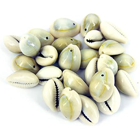 Natural Single Drilled Hole 100 Pcs Natural Cowrie Kauri Shell Beads ...