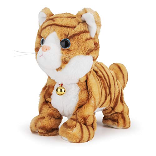 Best Robot Cats: Top Picks for Your Feline Friend