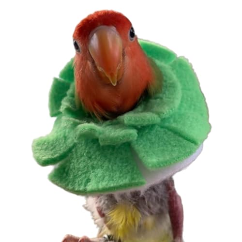 Amazon.com: Soft Bird Collar for Lovebirds, Budgies, and Parakeets ...