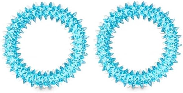 Amazon.com : Leaps & Bounds Spiny Ring Dog Chew Toy in Various Styles ...