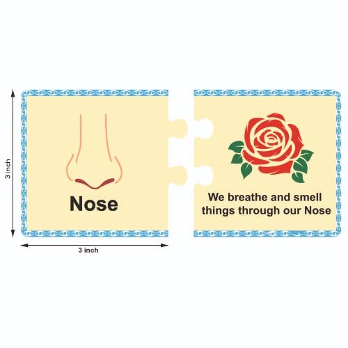 Wooden Parts of Body Jigsaw Matching Puzzle : Amazon.in: Toys & Games