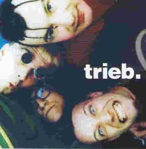 TRIEB-GROOVE NATION: Amazon.es: CD y vinilos}