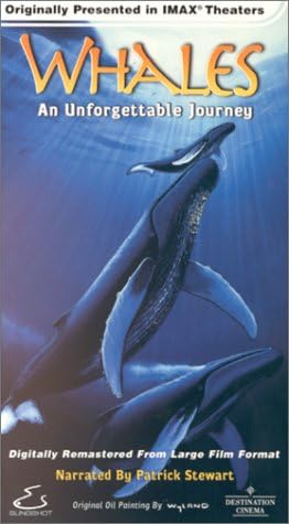 Amazon.com: Whales: An Unforgettable Journey [VHS] : Patrick Stewart ...