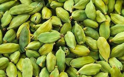 FENELLA'S Green Cardamom/ELAICHI/ELAKAY /from Kerala - 100g : Amazon.in ...