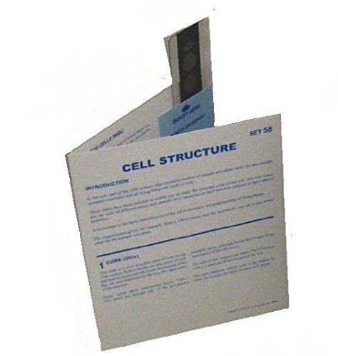Microslide, Cell Structure (Set #58): Amazon.com: Industrial & Scientific