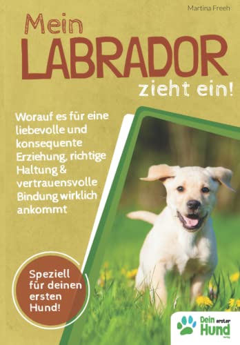 Labrador Erziehung - die besten 7 Tipps » Welpenerziehung-hundeerziehung.de