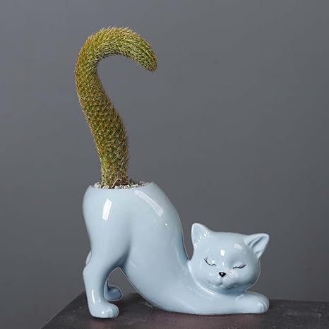 Amazon.com: Ceramic Tailless Cat Succulent Pots, Cute Funny Kitty ...