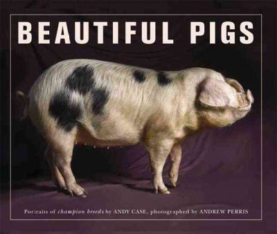 Beautiful pigs : portraits of fine breeds / by Andy Case ; photographed ...