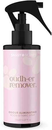 Amazon.com: SASSY SCENTS Oudh-Er - Odor Removing Room and Fabric Spray ...