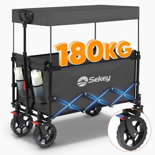%Festival Trolleys for Musicians% 2025