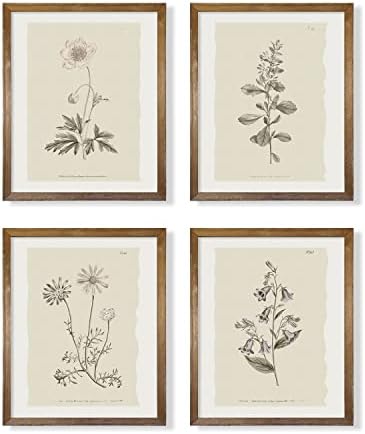 Amazon.com: Vintage Botanical Plant Wall Art Prints - 11 x14 Neutral ...