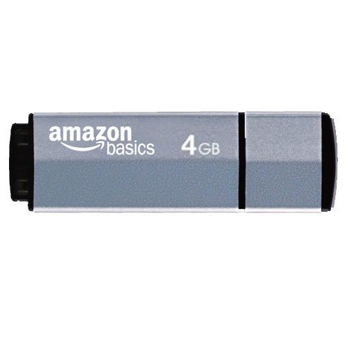 AmazonBasics 4GB USB 2.0 Flash Drive (Gray Blue) : Amazon.in: Electronics