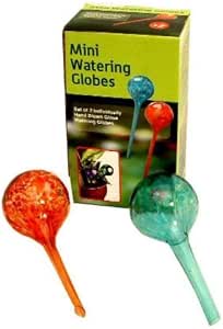 Amazon.com: Mini Watering Globes : Everything Else