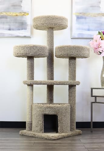 Amazon.com : New Cat Condos Large Cat House : Pet Supplies