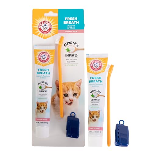 10 Best Cat Oral Care