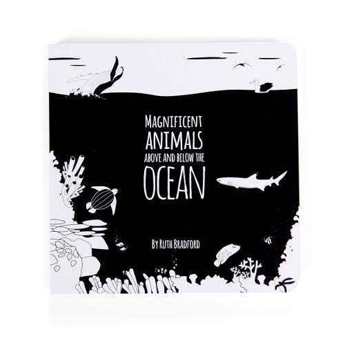 Buy Magnificent Animals from Above and Below the Ocean: The Little ...