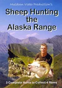 Amazon.com: Sheep Hunting the Alaska Range : Matt Booher, Ben Booher ...