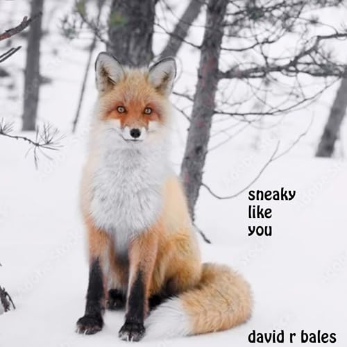Play Sneaky Like You by David R. Bales on Amazon Music