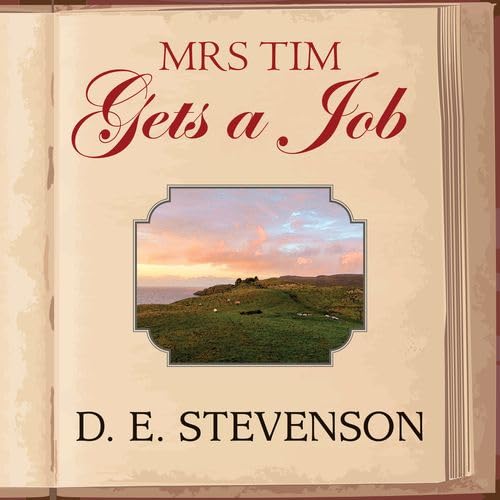 Mrs Tim Gets A Job: Stevenson, D.E., Mackie, Lesley: 9781407980294 ...