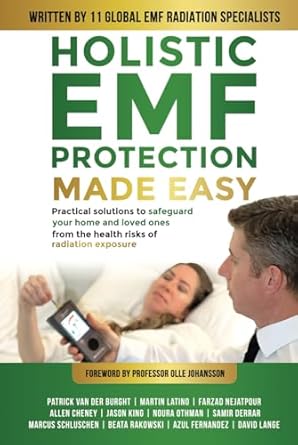 Holistic EMF Protection Made Easy: Practical Solutions to Safeguard ...