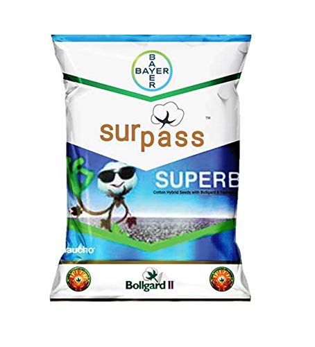 Bayer Hybrid Cotton Superb Seeds BG II 450GMS : Amazon.in: Garden ...