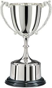 Nickel Plate Trophy Cup Award 250mm Presentation Award Multisports (No ...