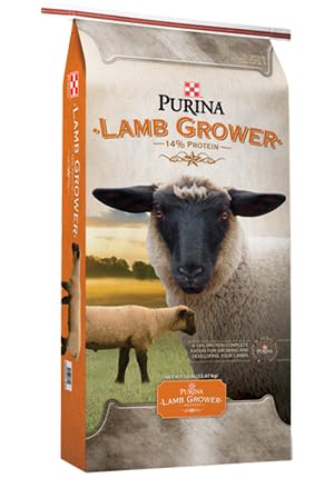 Discover the Top 10 Purina Lamb Grower Products - Your Ultimate Buying ...