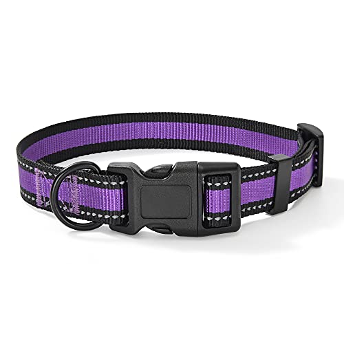 Purple Dog Collar – The 15 best products compared - Wild Explained