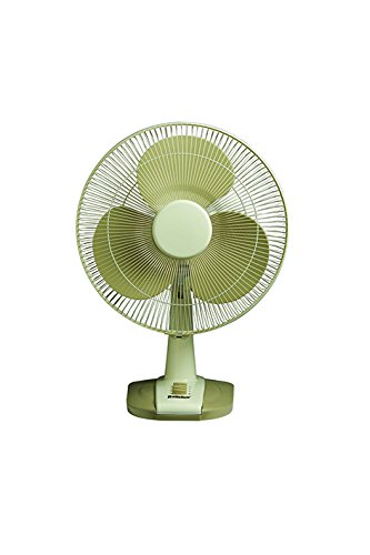 Buy RALLIFAN 400MM Table Fan Blossom 2100 RPM Table Fan (Ivory Mushroom ...