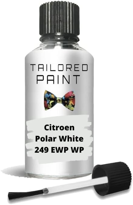 For Citroen 2000-Present Polar White 249 EWP WP Touch Up Paint With ...