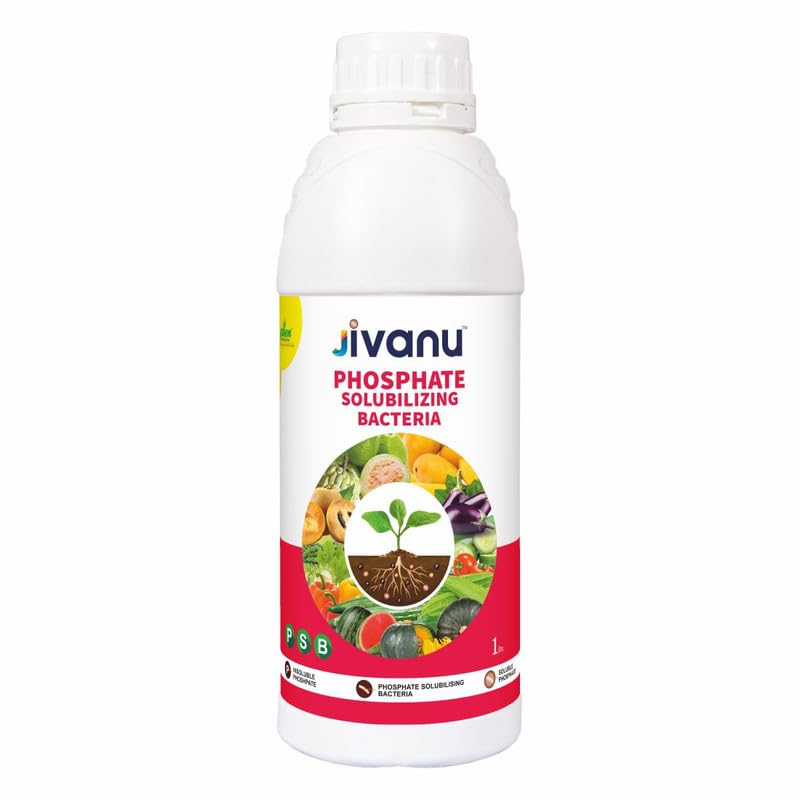 Jivanu PSB (Phosphate Solubilizing Bacteria – PSB) Liquid (1L) Bio ...