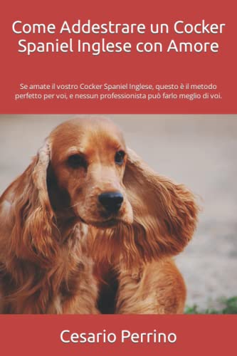 Cocker spaniel inglese: caratteristiche e alimentazione