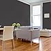 Amazon.com: Glidden Total Interior Wall Paint & Primer All-in-One ...