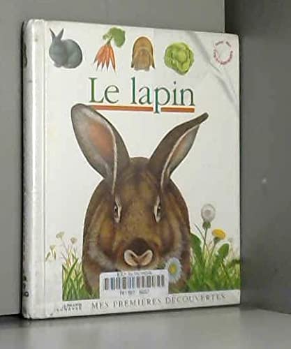 Amazon.com: LE LAPIN: 9782070541461: COLLECTIFS JEUNESSE: Books