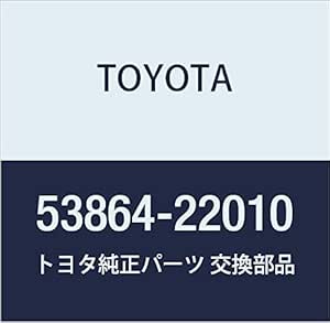 Amazon.com: TOYOTA Genuine Parts Front Fender To Door Hinge Seal LWR LH ...