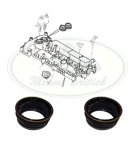 Amazon.com: Solenoid Engine Variable Timing Gasket x2 LR2 Range EVOQUE ...
