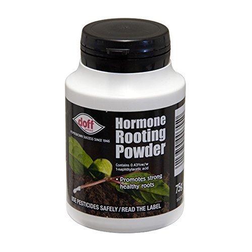 Doff Hormone Rooting Plant & Tree Root Fast Growing Quick Growth Powder ...