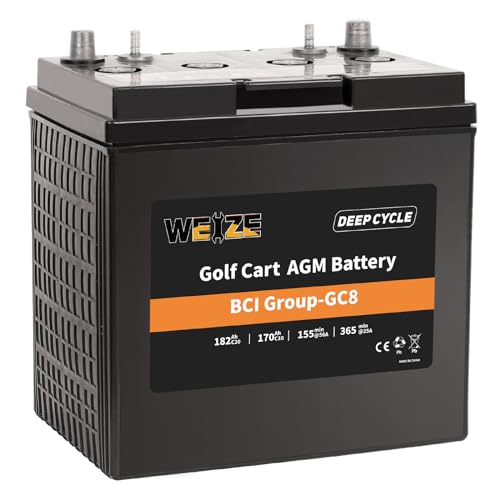 5 Best 8 Volt Golf Cart Batteries for Extended Play and Performance