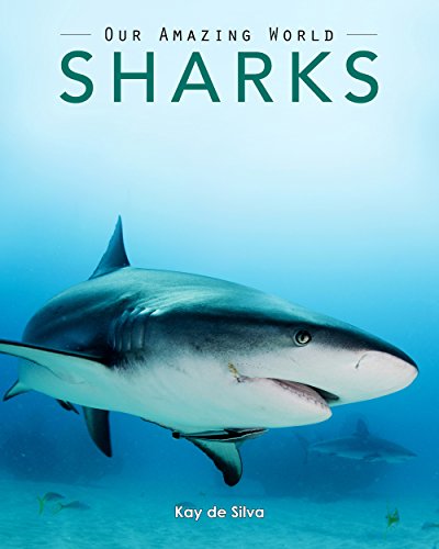 Shark Week Books for Kids {Ocean Animals Unit Study}