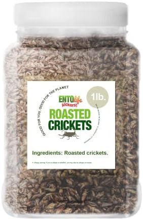 Amazon.com : Sour Cream & Onion Roasted Edible Crickets - Pound Size ...