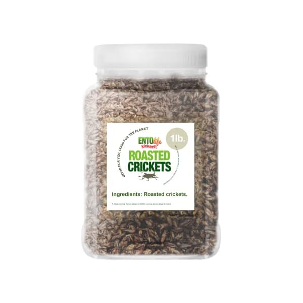 Roasted Edible Crickets - Pound Size - Pound Size - Crickets you can ...